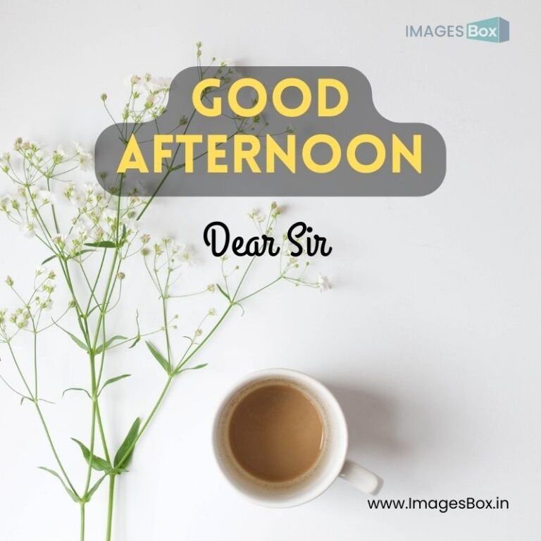 25+ Good Afternoon Sir Images with Quotes (2025)