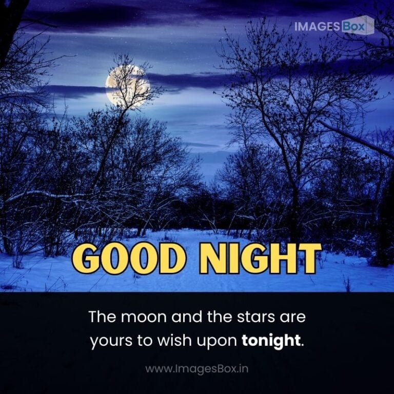 28+ Free Good Night Winter Images with Quotes (2025)