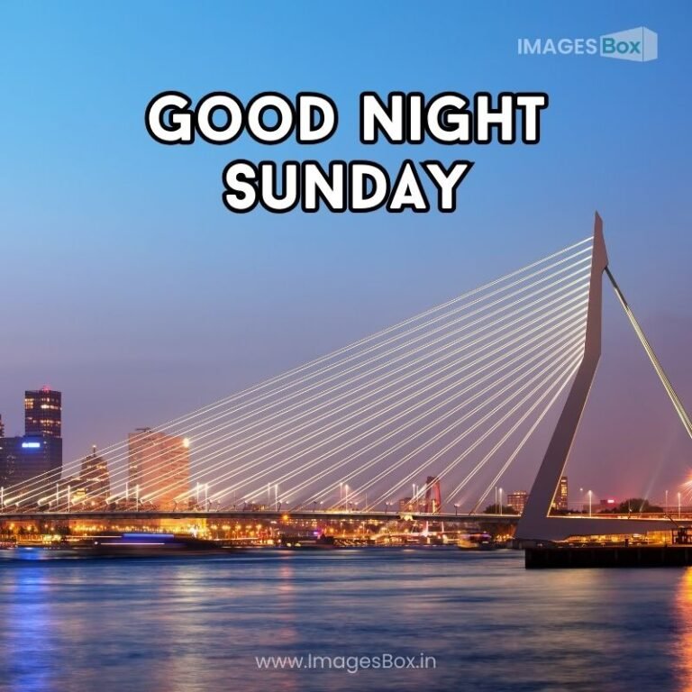 28+ Good Night Sunday Images with Quotes (2025)