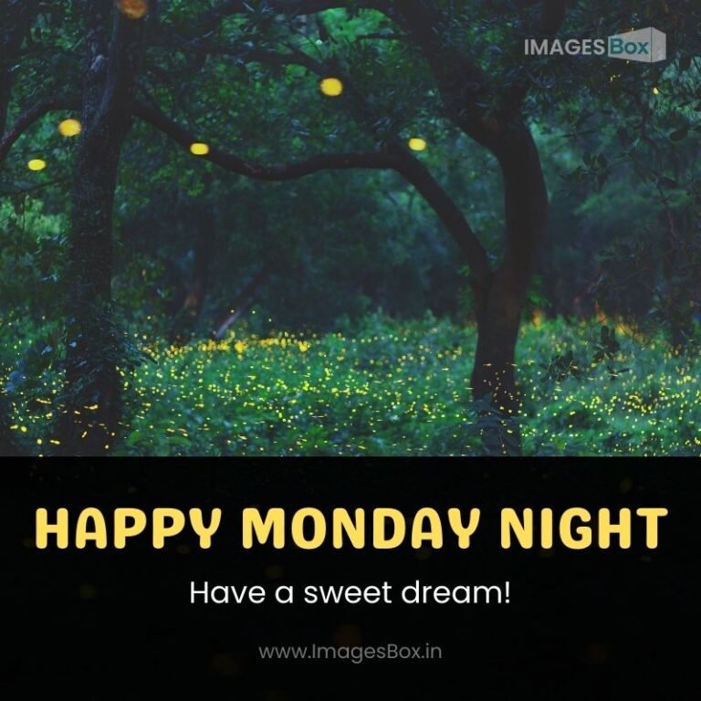 28+ Best Good Night Monday Images with Quotes (2025)