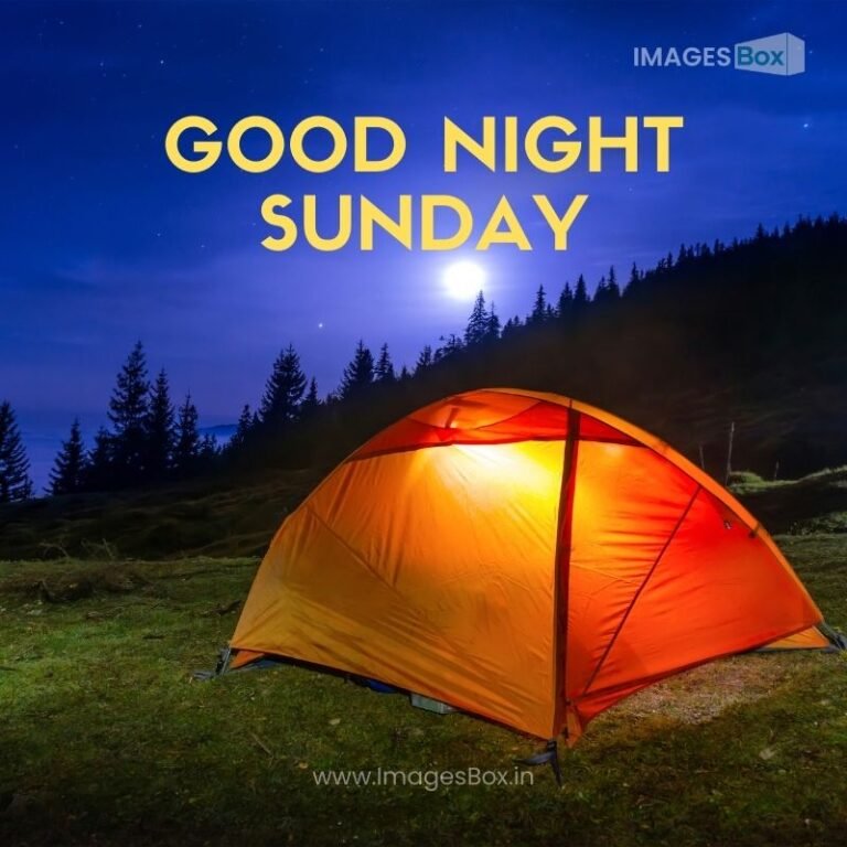 28+ Good Night Sunday Images with Quotes (2025)