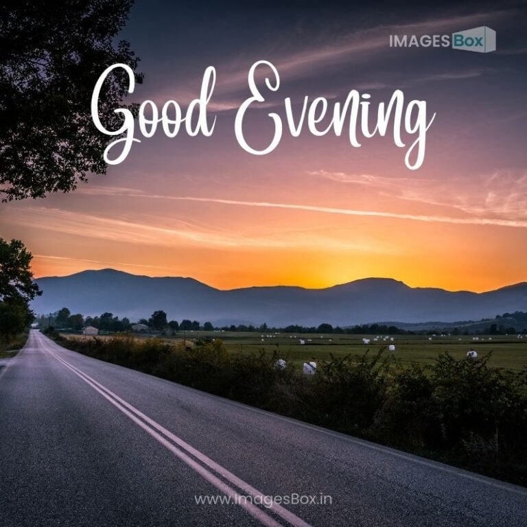 210+ New Good Evening Images