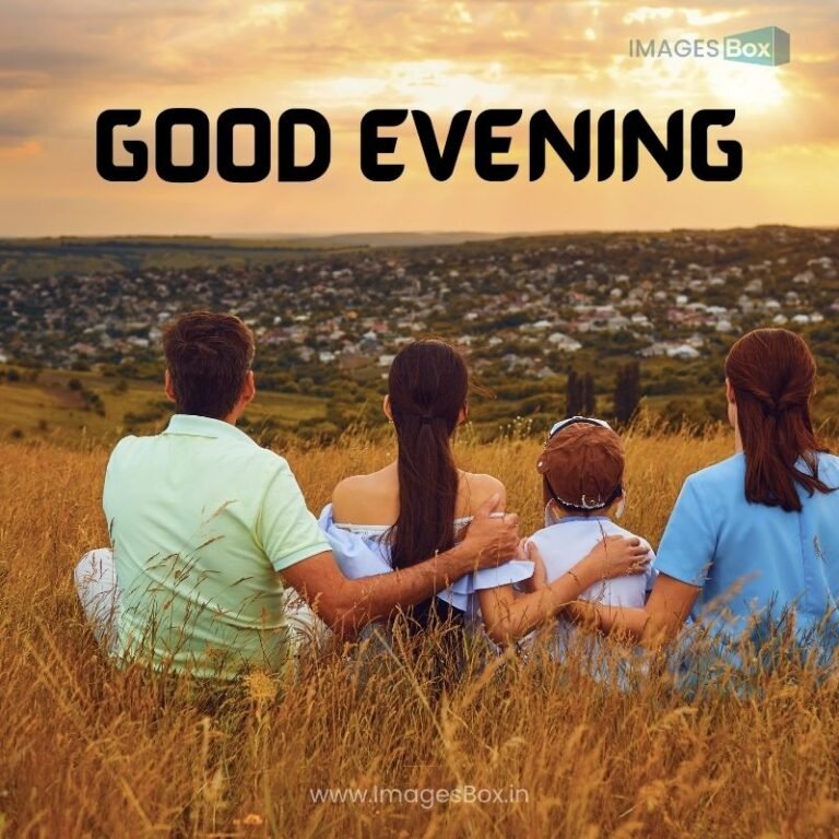 210+ New Good Evening Images