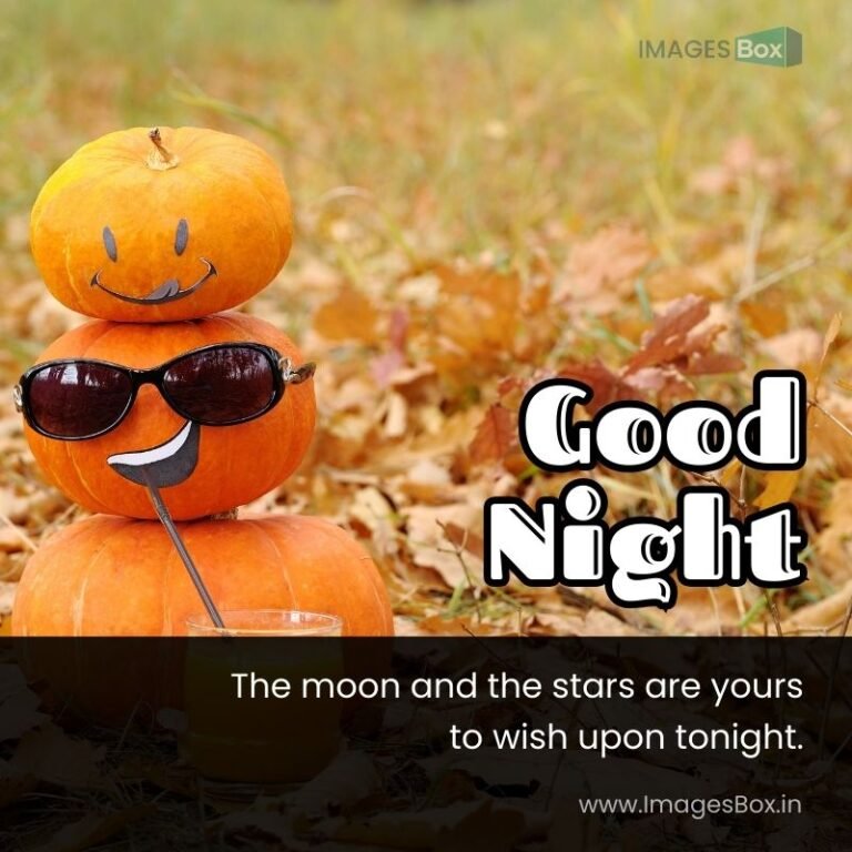 28+ Free Good Night Comedy Images, Funny Images (2023)