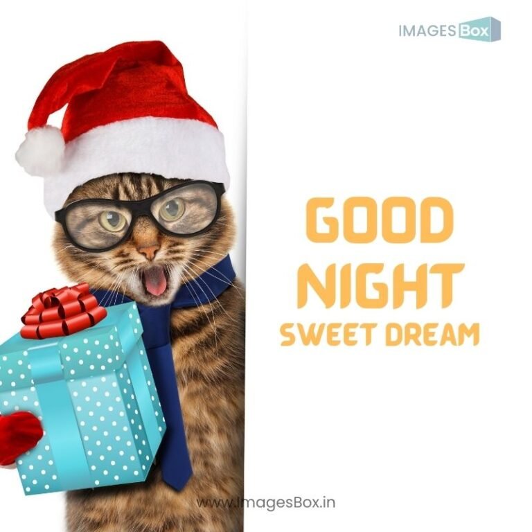 28+ Free Good Night Comedy Images, Funny Images (2023)