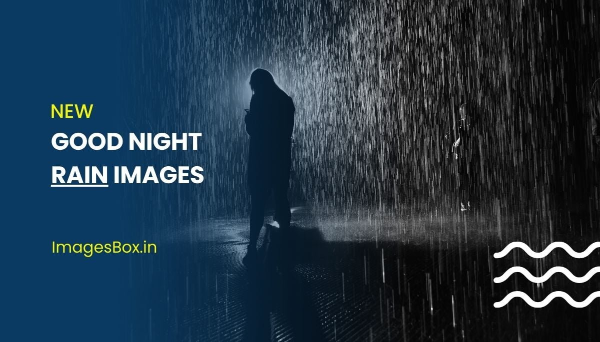 25+ Free Good Night Rain Images with Quotes (2025)