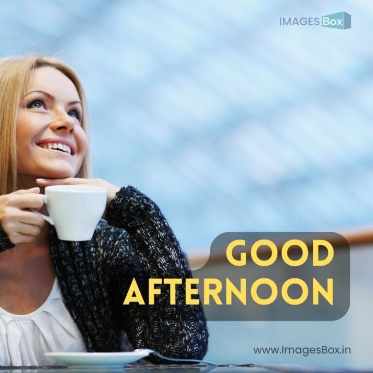 200+ New Good Afternoon Images | Good Afternoon Photo [2025]
