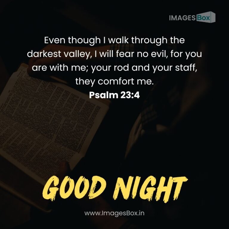 25+ Good Night Bible Verses Images (2025)