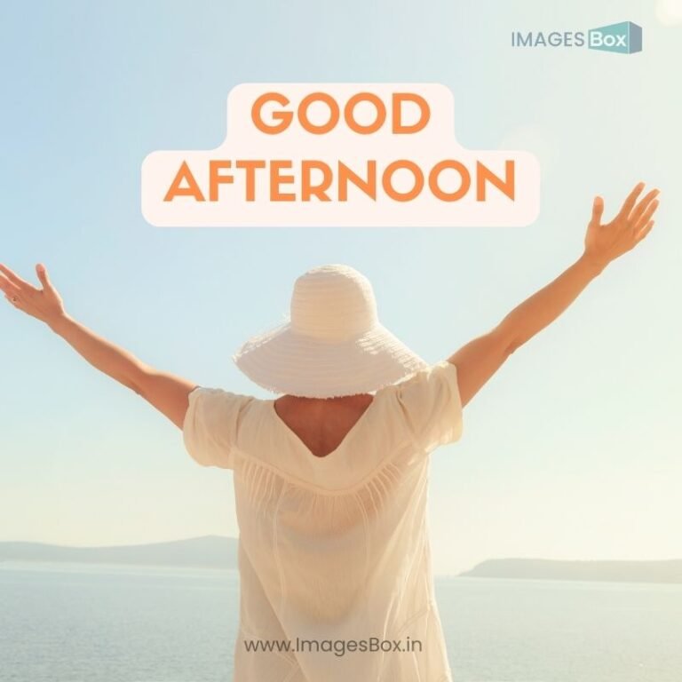 200+ New Good Afternoon Images | Good Afternoon Photo [2025]