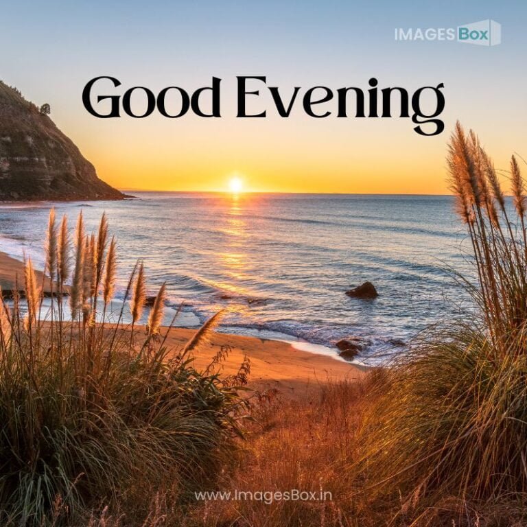 210+ New Good Evening Images