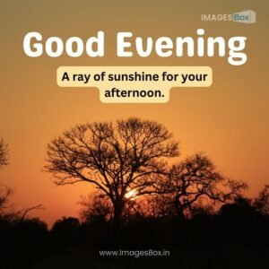 210+ New Good Evening Images