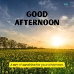 200+ New Good Afternoon Images | Good Afternoon Photo [2025]