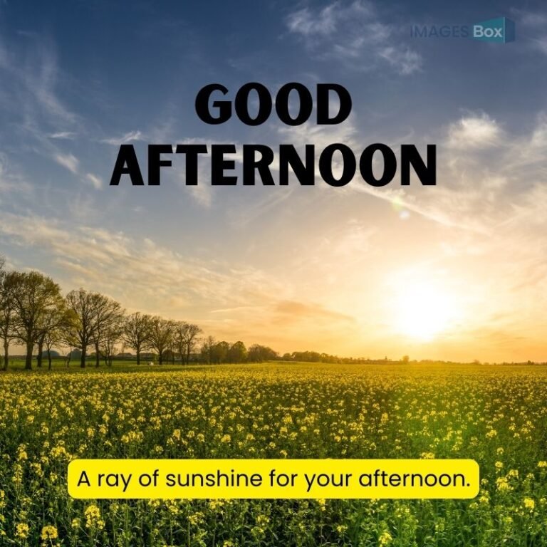 200+ New Good Afternoon Images | Good Afternoon Photo [2025]