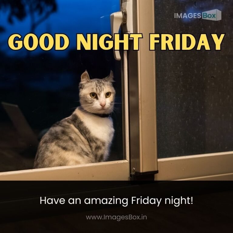 28+ Free Good Night Friday Images with Quotes (2025)